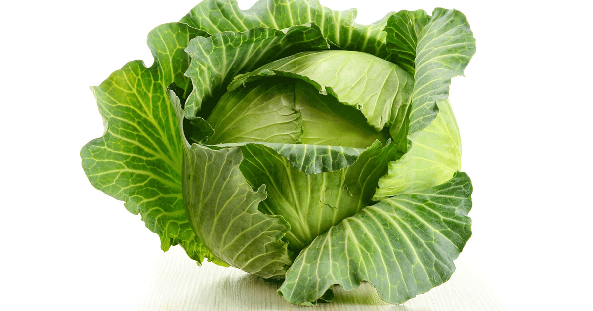 DID YOU KNOW THAT CABBAGE IS A SECRET WEAPON THAT FIGHTS CANCER, HEART ...