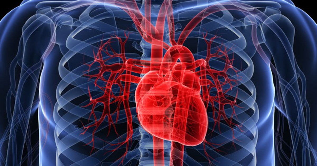 4 major heart attack red flags YOU NEED TO KNOW! - Healthy Natural Solution